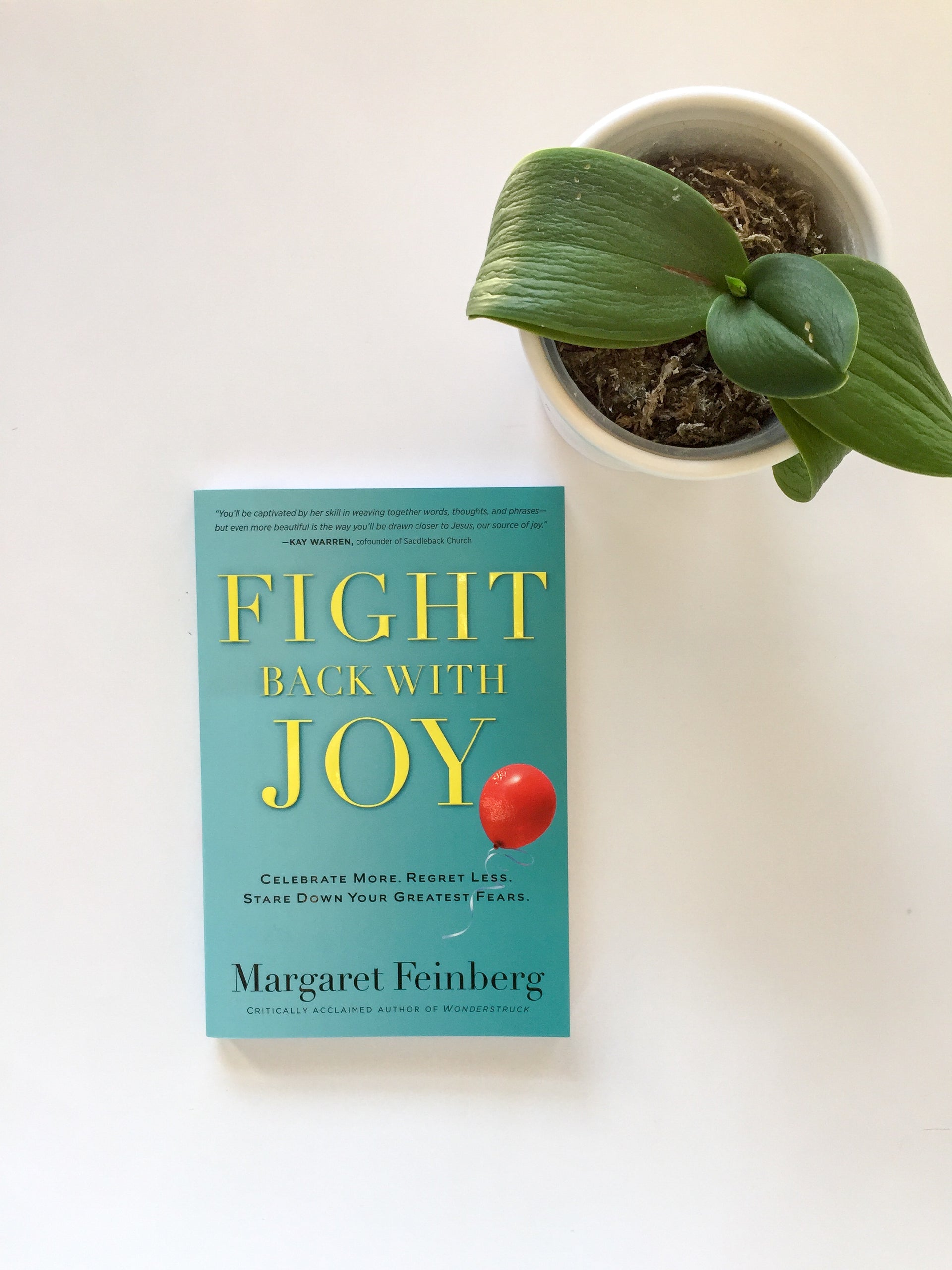 Fight Back With Joy Book by Margaret Feinberg SALE ...
