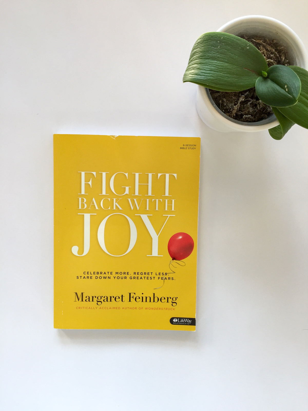 Fight Back With Joy Workbook SALE – margaretfeinbergstore.com