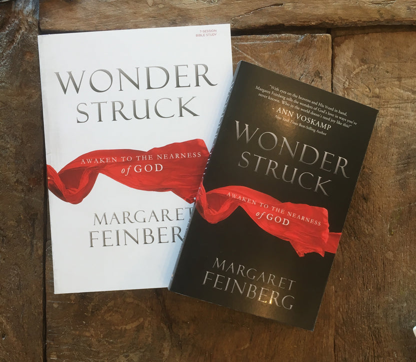 Wonderstruck Book & Workbook Combination – margaretfeinbergstore.com