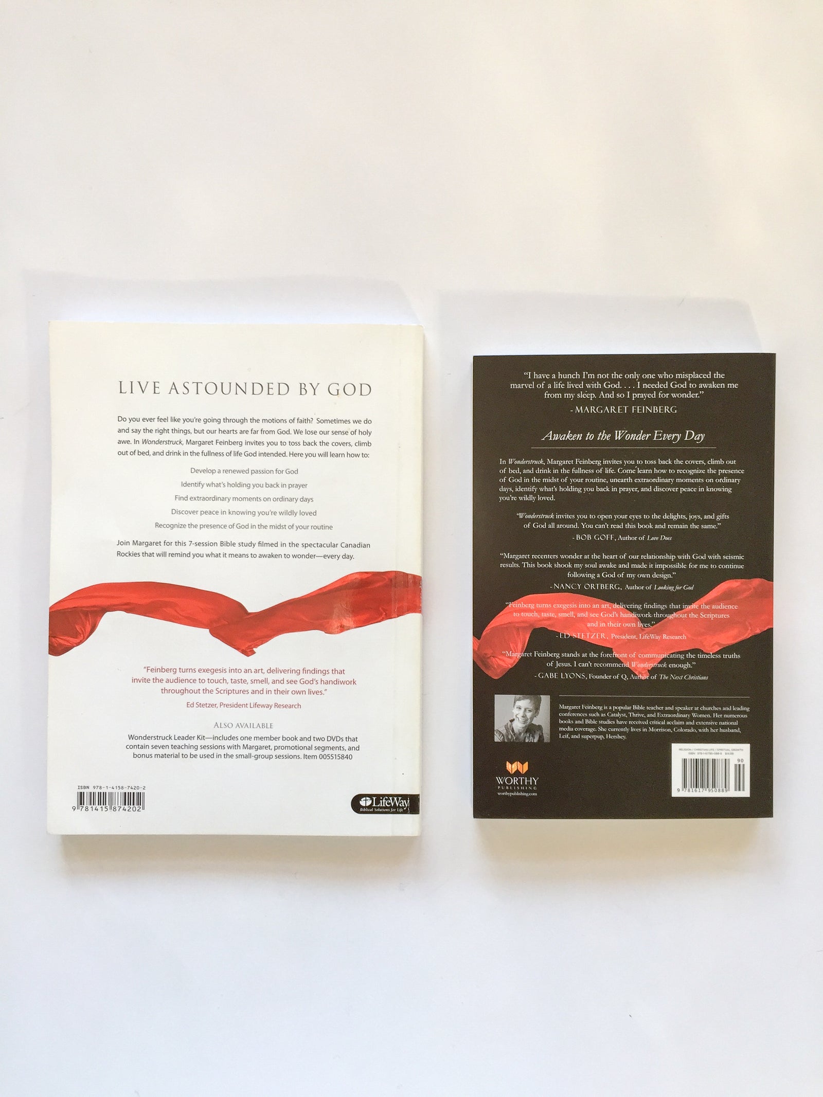 Wonderstruck Book & Workbook Combination – margaretfeinbergstore.com