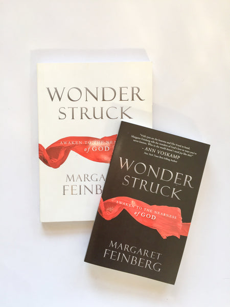 Wonderstruck Book & Workbook Combination – margaretfeinbergstore.com